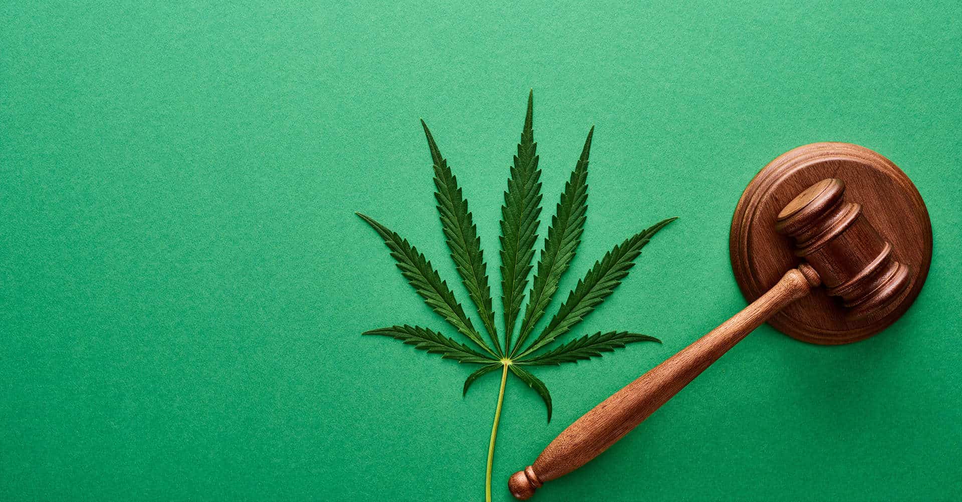 Nueva Regulación Del Cannabis Medicinal Cbd Kalamua